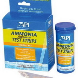 Jellyfish Shop – Jellyfish Aquarium